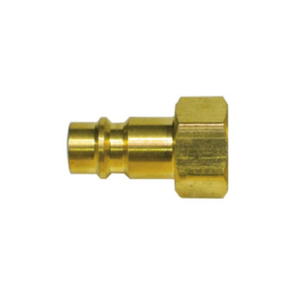 PLUG FEMALE THREAD 1/4” - Matthys