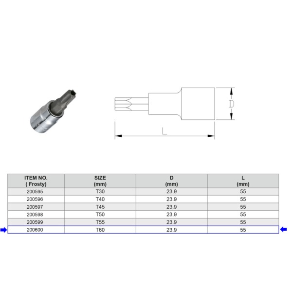 1/2” TORX BIT SOCKET TAMPERPROOF TP60 - Matthys